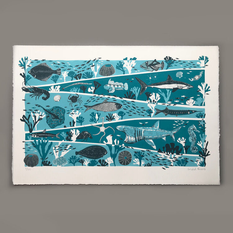 Ocean – Form Shop & Studio